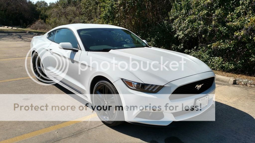 RTR Grille & Tint Pics | 2015+ S550 Mustang Forum (GT, EcoBoost, GT350 ...